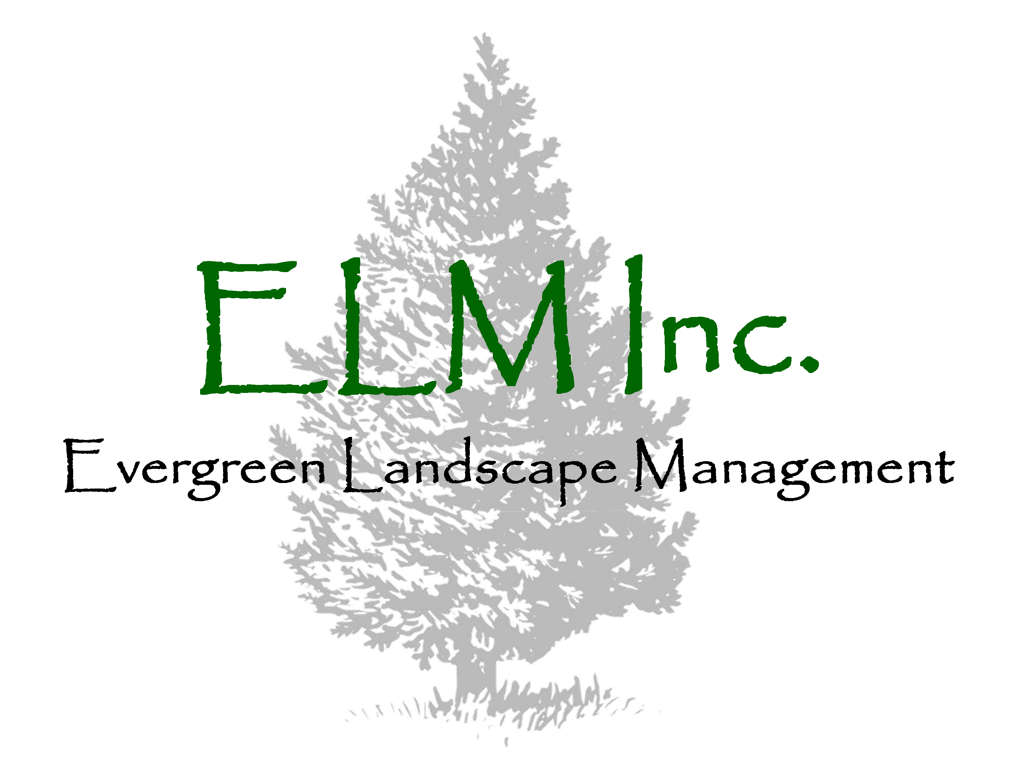 Evergreen Landscape Management
